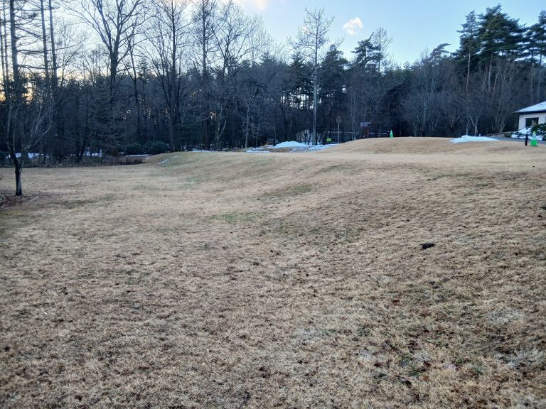 国営アルプスあづみの公園｜あづみのブログ